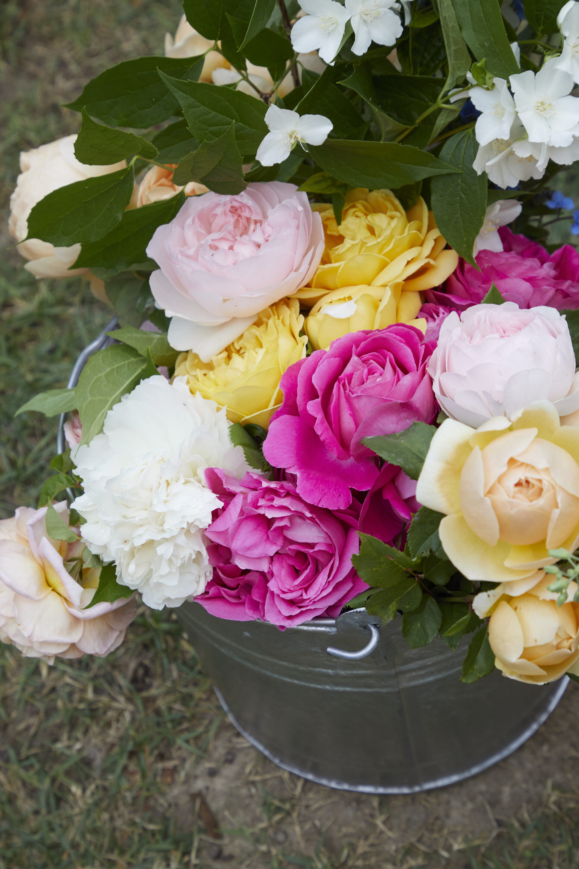 Cultivating Joy with Kate Graham of Fig & Fern