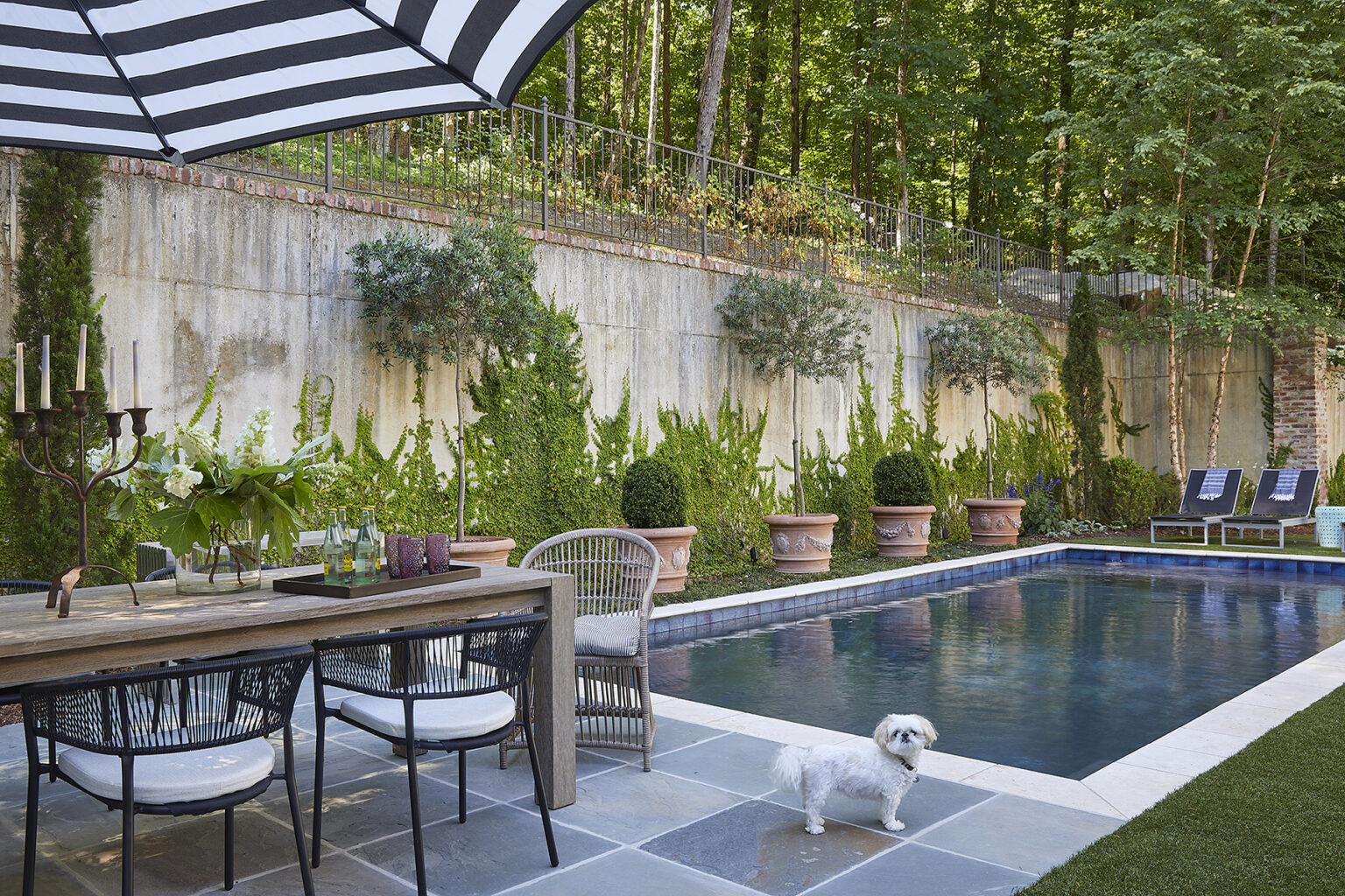 Matt Costanzo's Creative Reimaging